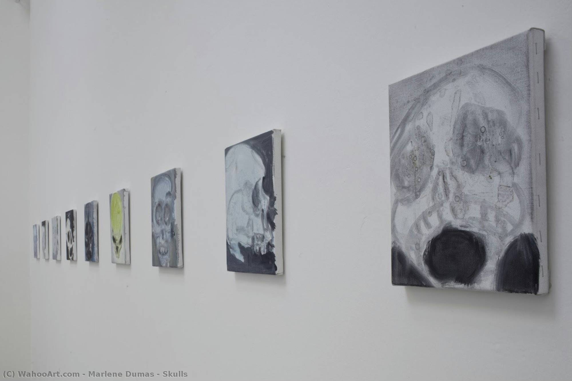 Skulls, 2015 by Marlene Dumas Marlene Dumas | WahooArt.com