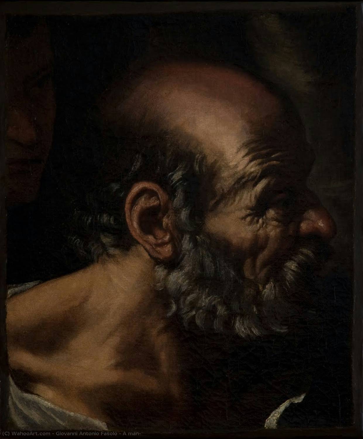 Artwork Replica A man\, 1500 by Giovanni Antonio Fasolo (1530-1572 ...