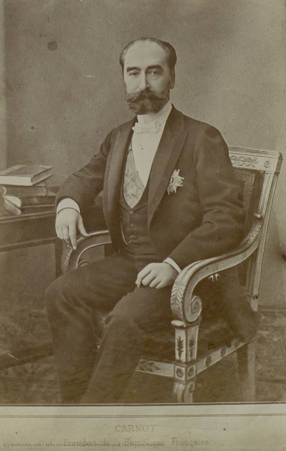 Order Artwork Replica Carnot President of the French Republic, 1887 by ...