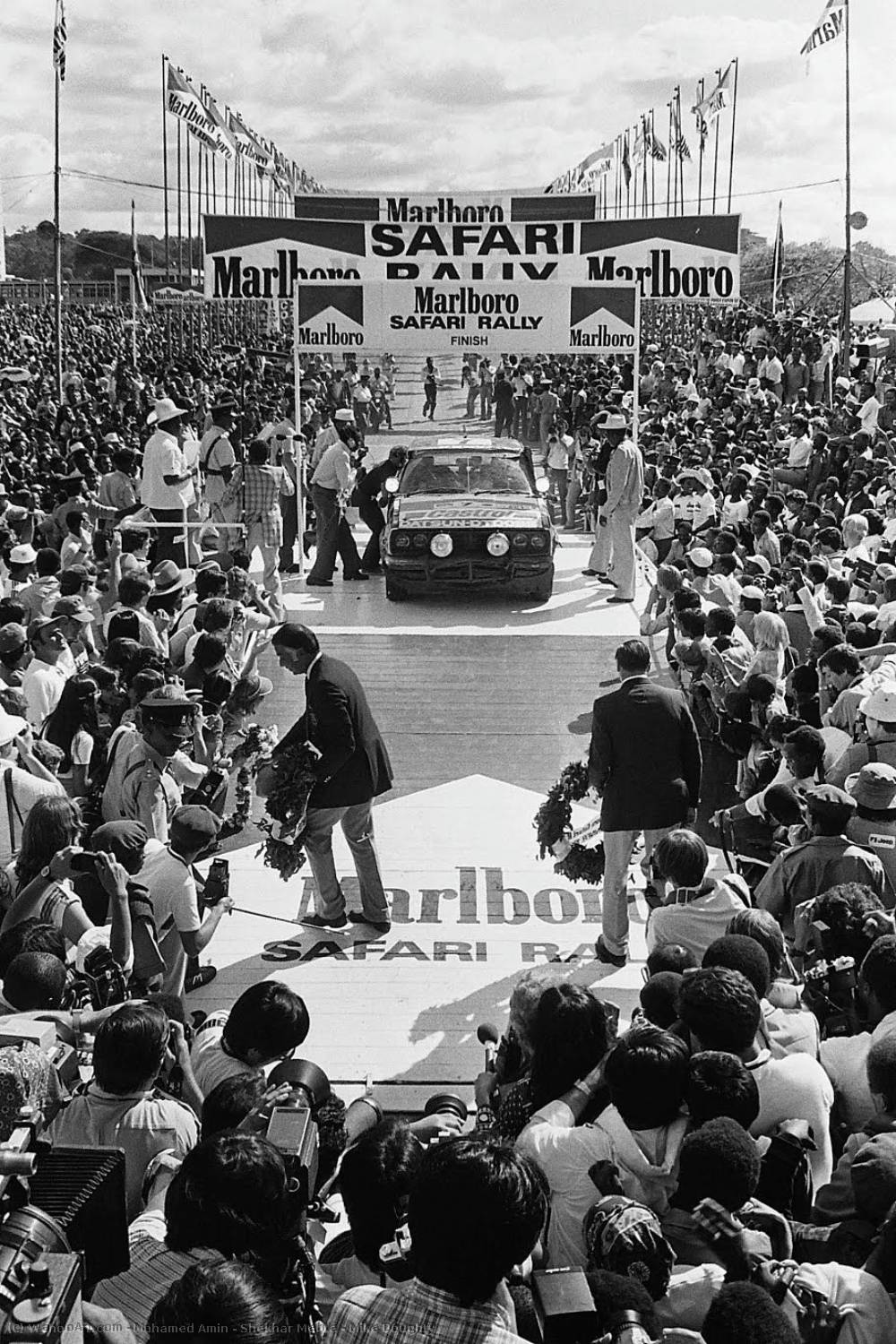 Reproducciones De Pinturas Shekhar Mehta " Mike Doughty, 1981 de ...