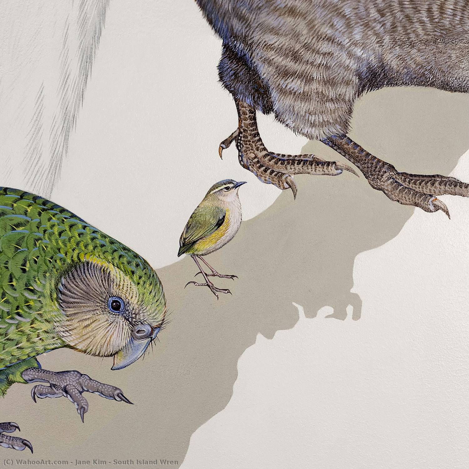 Ilha Sul Wren, 2015 por Jane Kim Jane Kim | WahooArt.com