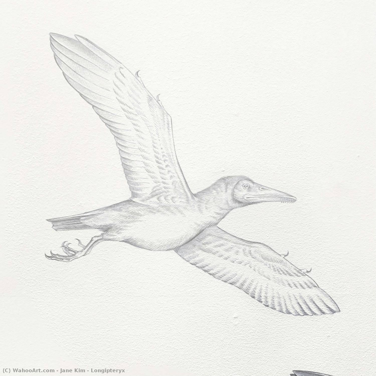 Longipteryx, 2015 by Jane Kim Jane Kim | WahooArt.com