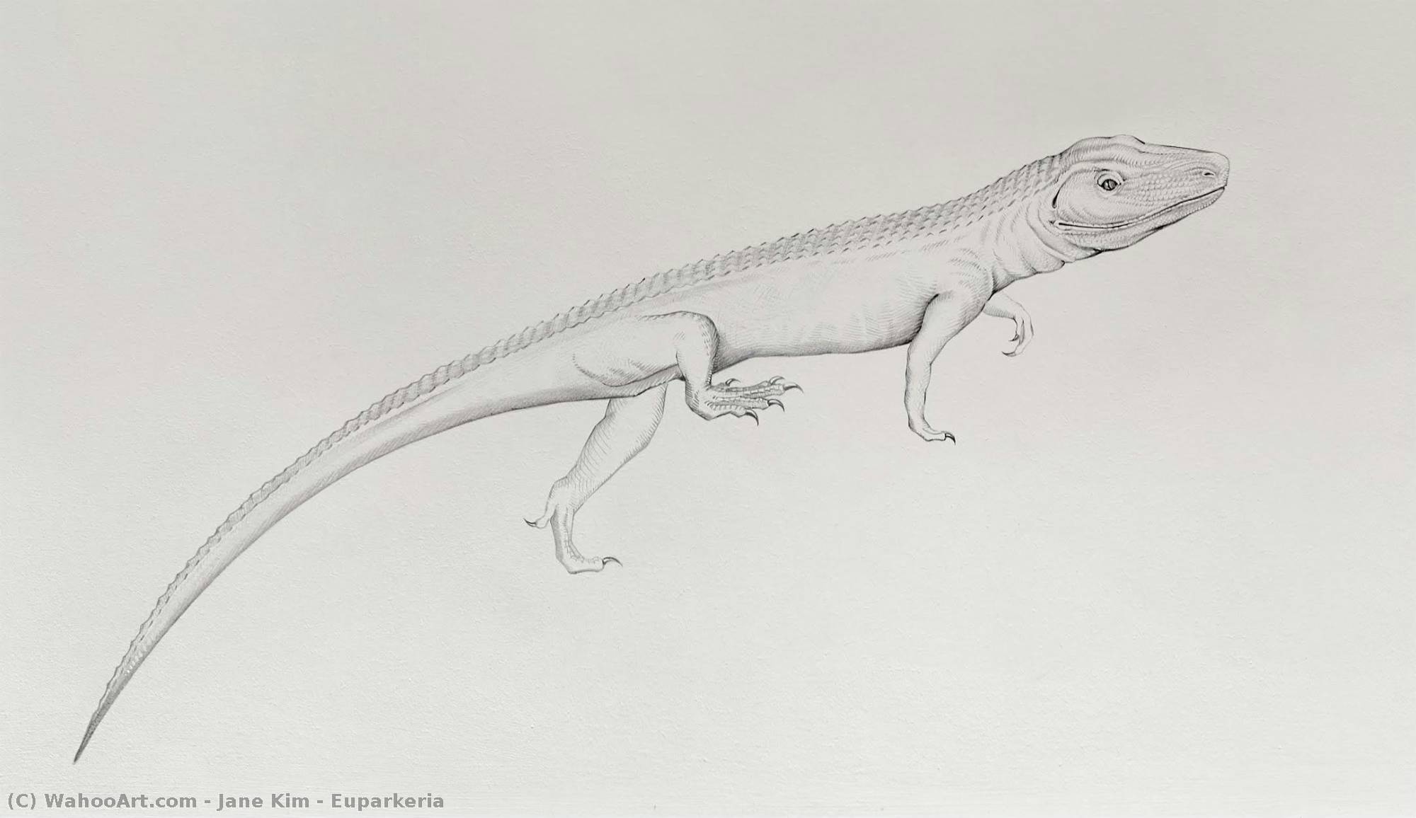 Euparkeria, 2015 por Jane Kim Jane Kim | WahooArt.com