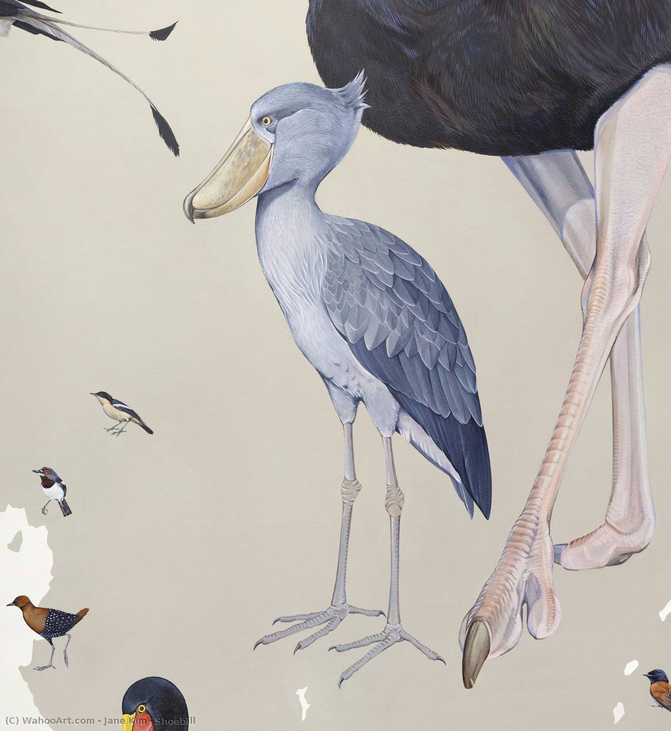 Shoebill, 2015 by Jane Kim Jane Kim | WahooArt.com